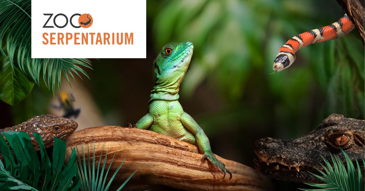 Info & Tickets - ZOO Serpentarium